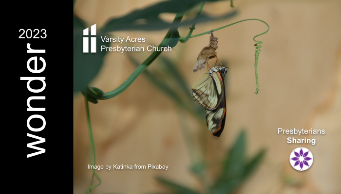 2023 Wonder Campaign - Week 3 Update | Stewardship | Varsity Acres ...